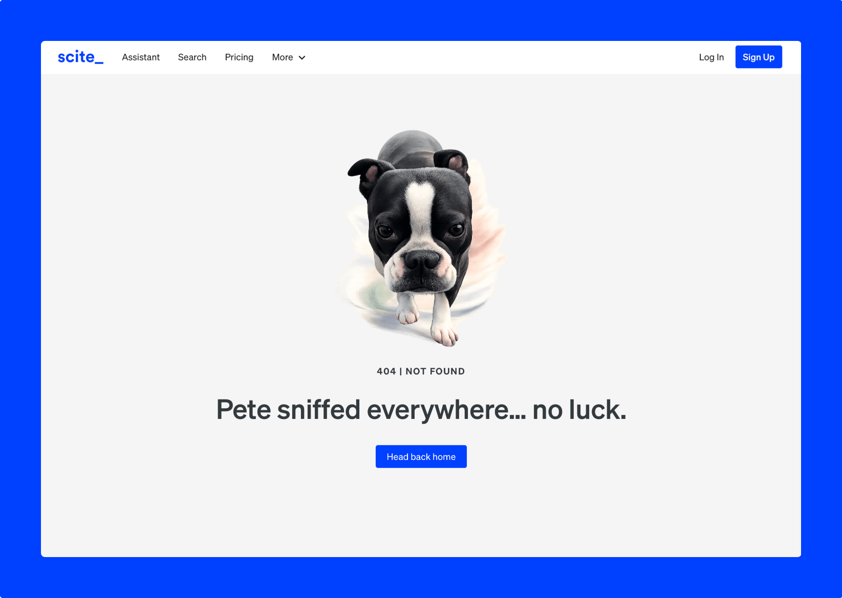 November 2025 Release Notes